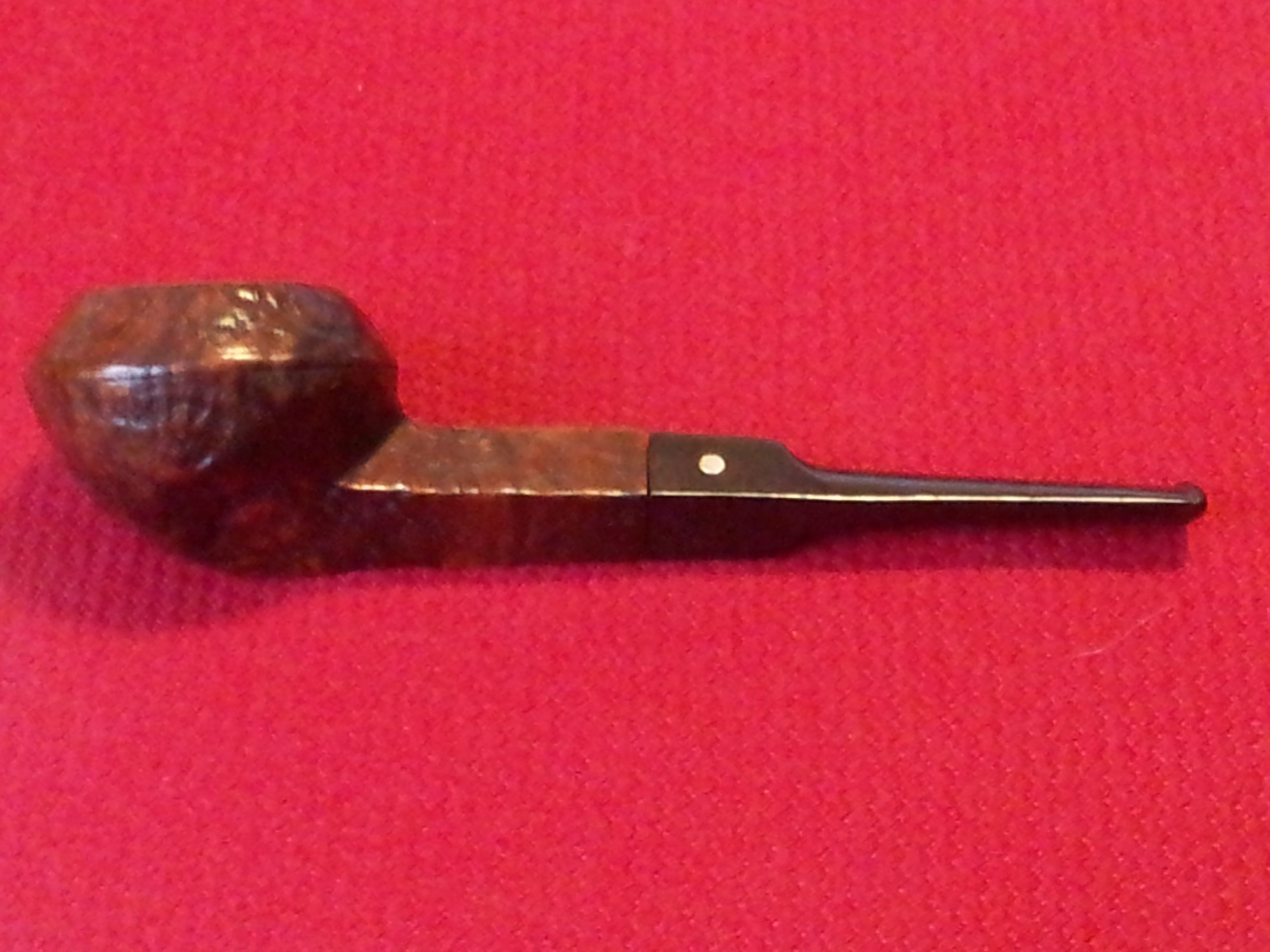 Freshening a Regis Super Grain Squashed Bulldog